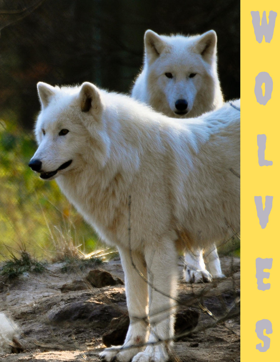 Wolves Unit Study – Attachment Mummy Printables