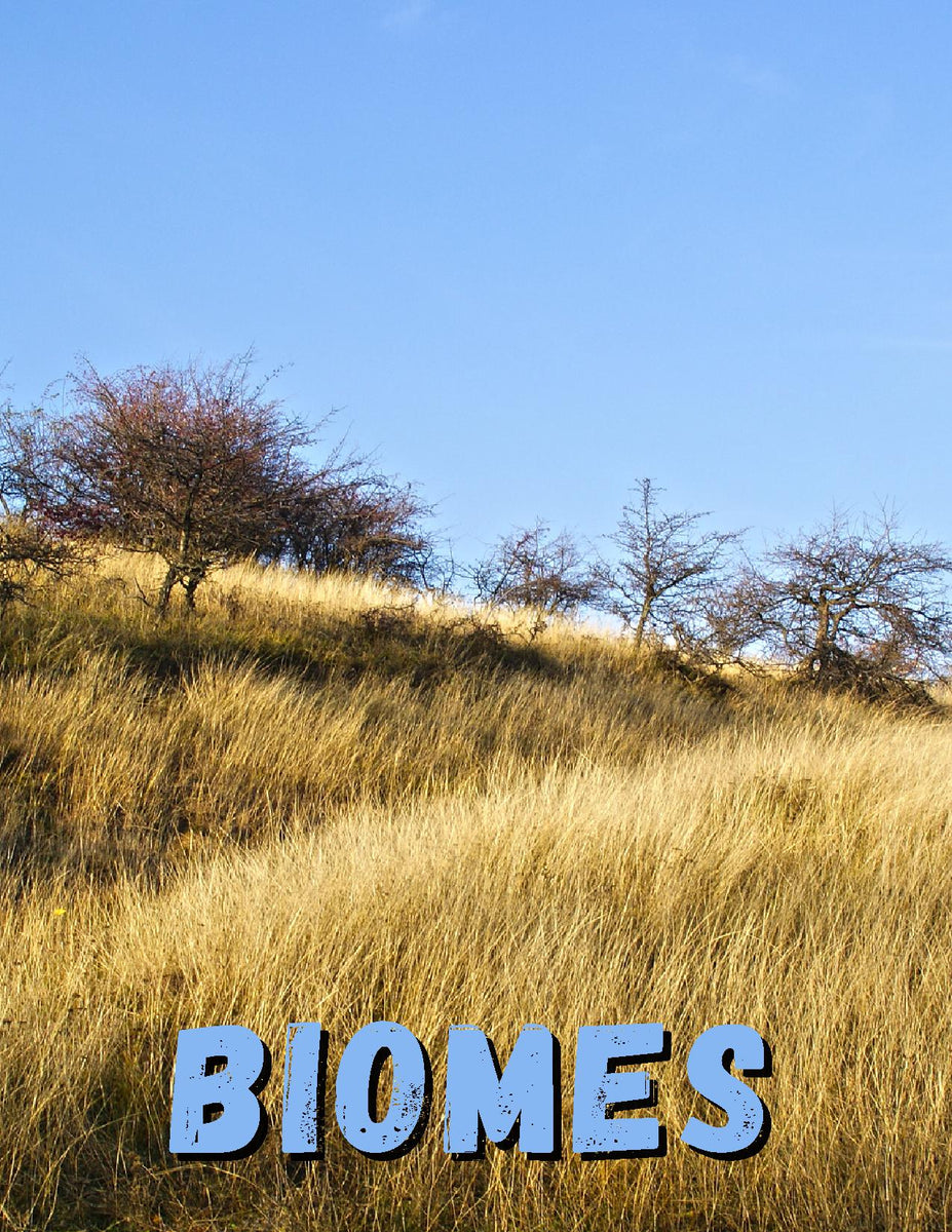 Biomes Unit Study – Attachment Mummy Printables