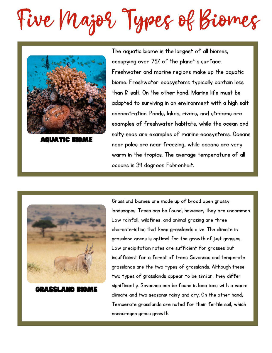 Biomes Unit Study – Attachment Mummy Printables